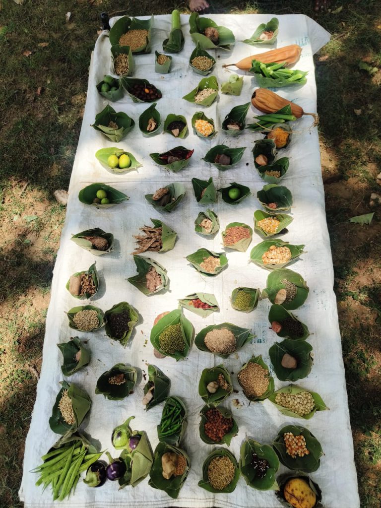 Beej Utsav 2025 – Celebrating Seeds, Culture, and a Sustainable Future ...