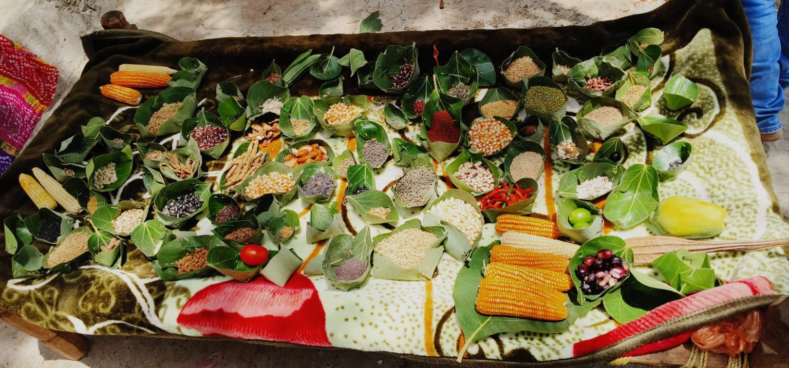 Beej Utsav 2025 – Celebrating Seeds, Culture, and a Sustainable Future ...